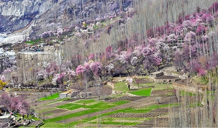 SKARDU VALLEY BLOSSOM TOURS